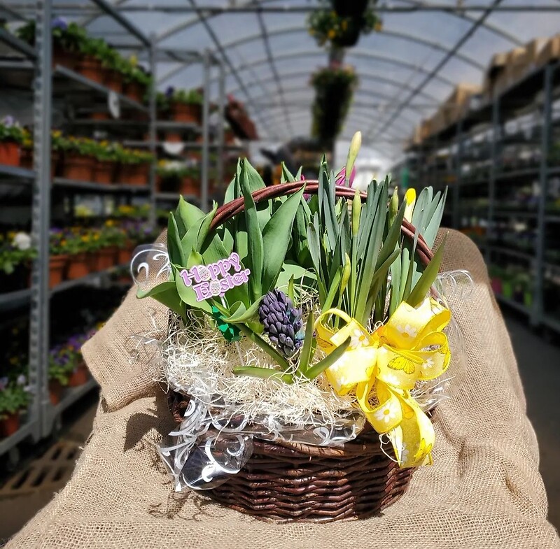 Easter basket arranged by a florist in Wantagh, NY USA : Abby's ...