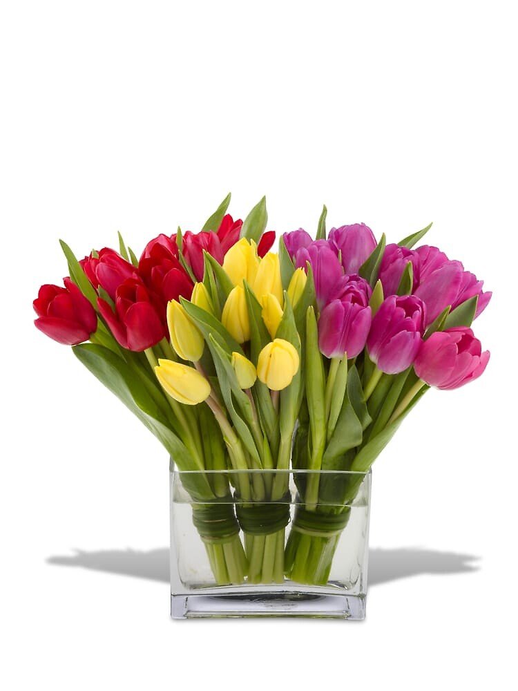Tulip trio arranged by a florist in Wantagh, NY USA : Abby's Parkside ...