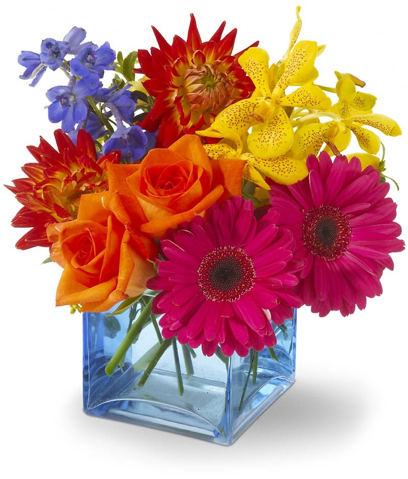 208 arranged by a florist in Wantagh, NY USA : Abby's Parkside Nursery ...